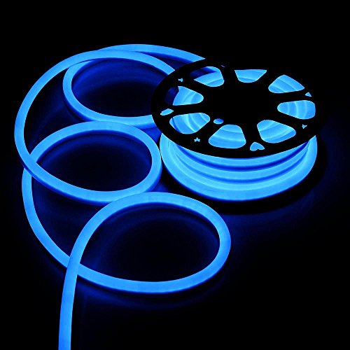 100FT Blue Flexible Neon LED Rope Light Lighting Strip Tube Indoor ...
