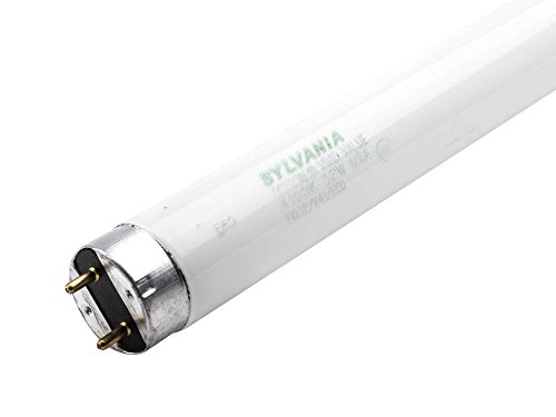 Sylvania 22438, 32 Watt, 48" Length, CRI 90, Cool White Fluorescent ...